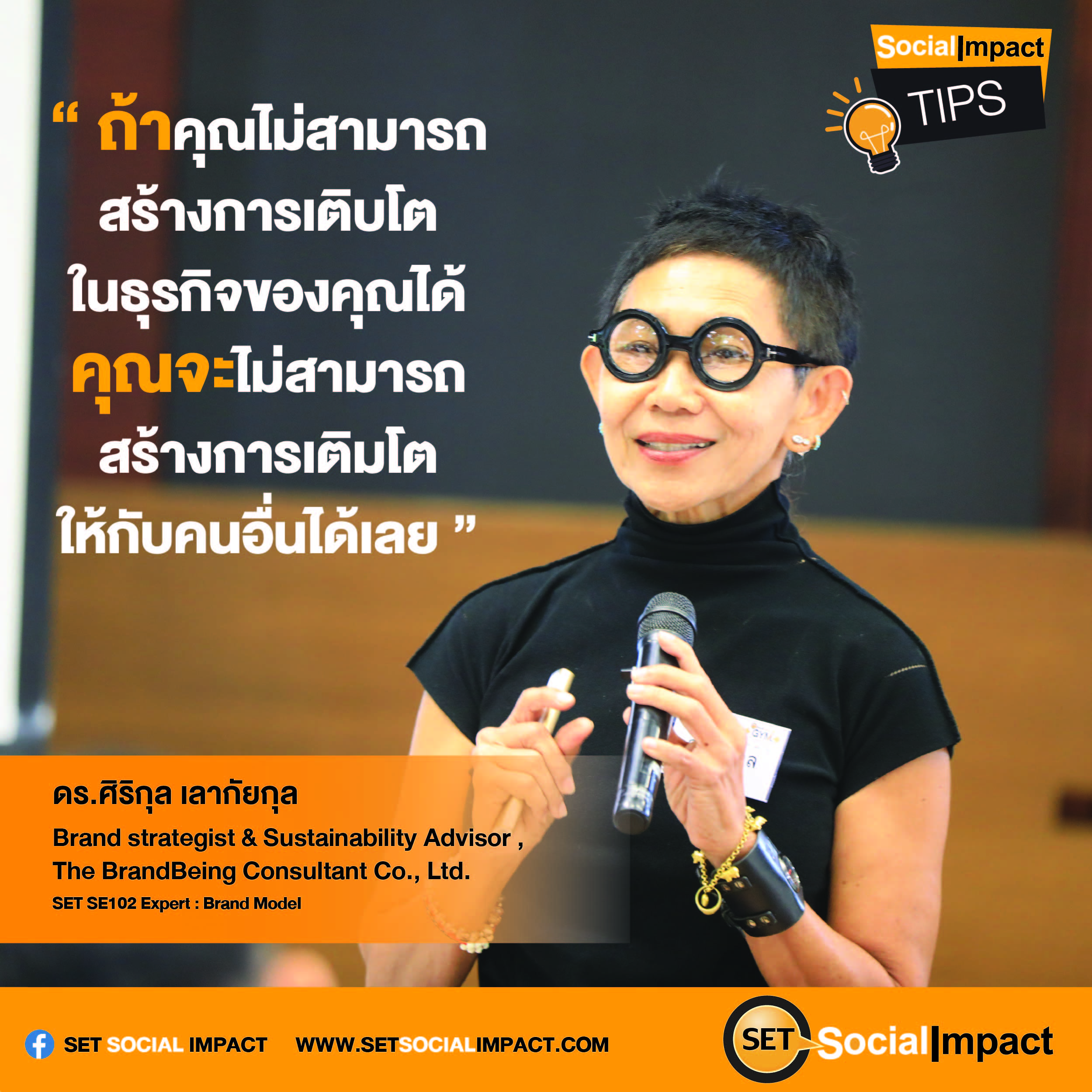 SET Social Impact TIPS